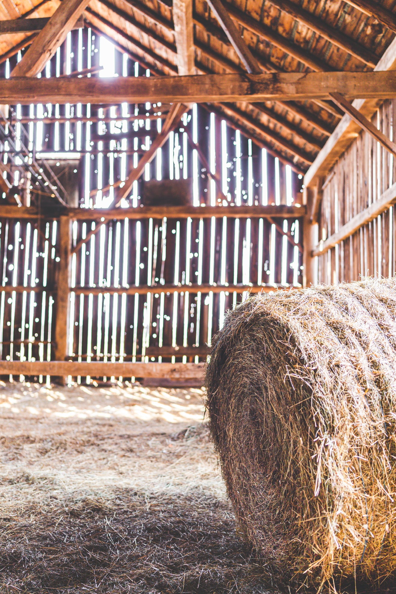 On the Farm – Westbrook Farm